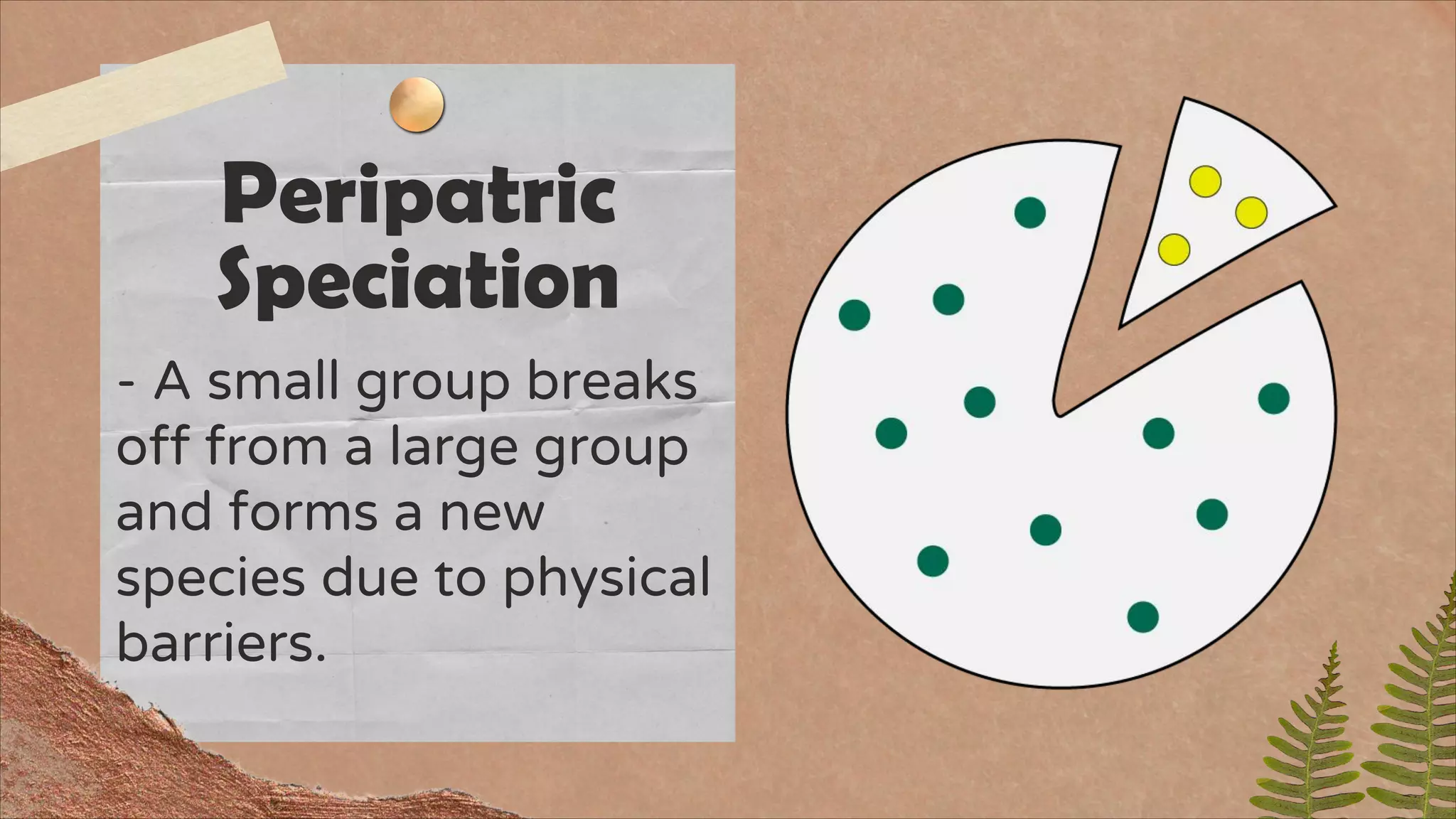 Patterns of Descent with Modification.pdf