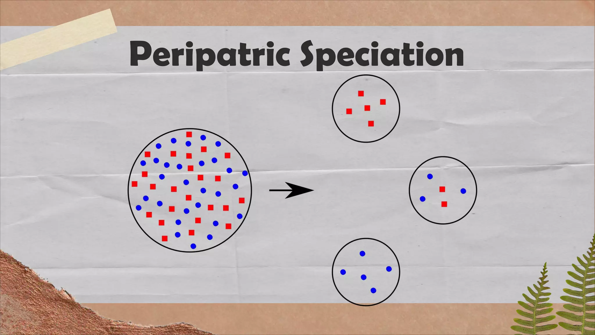 Patterns of Descent with Modification.pdf