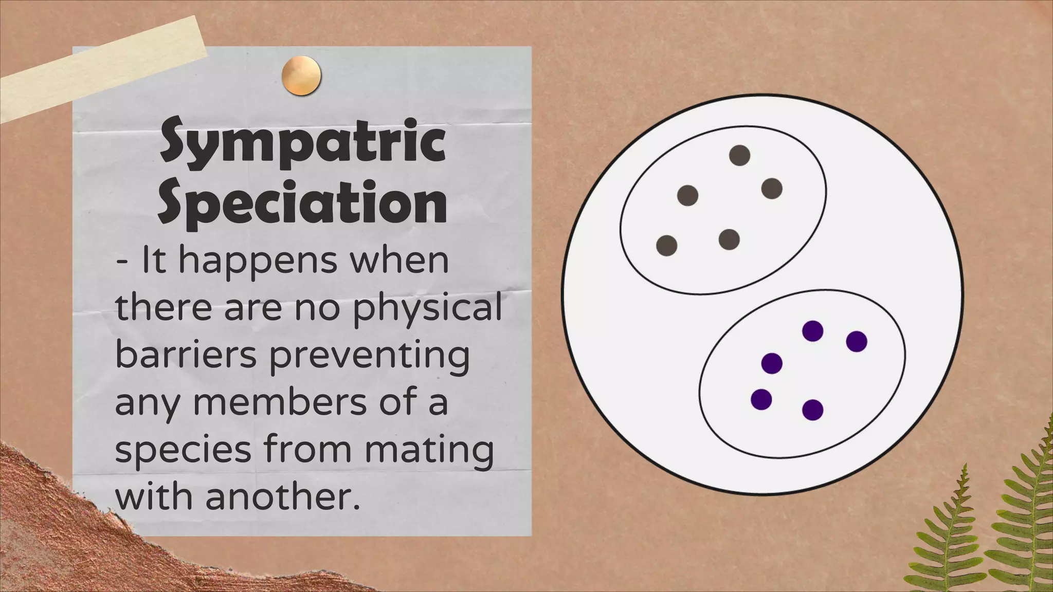 Patterns of Descent with Modification.pdf