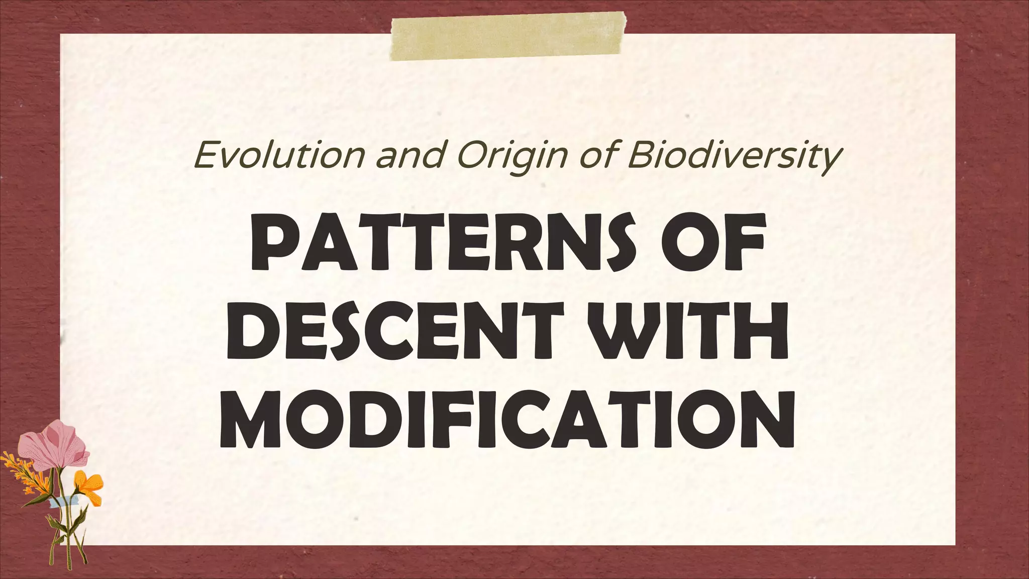 Patterns of Descent with Modification.pdf