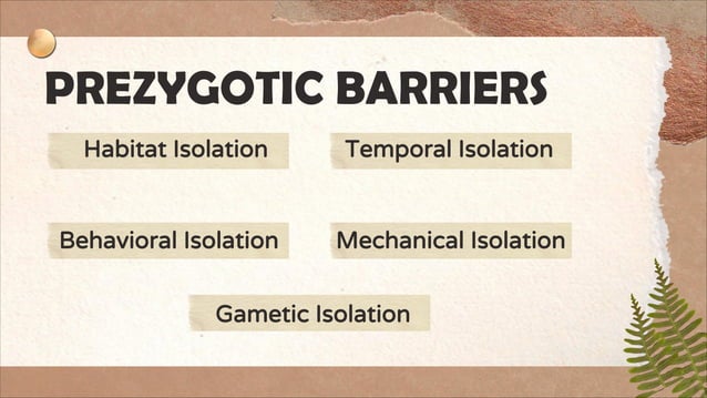Patterns of Descent with Modification.pdf