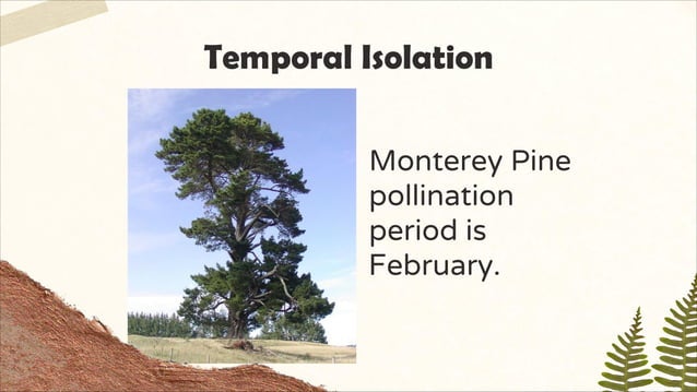 Patterns of Descent with Modification.pdf