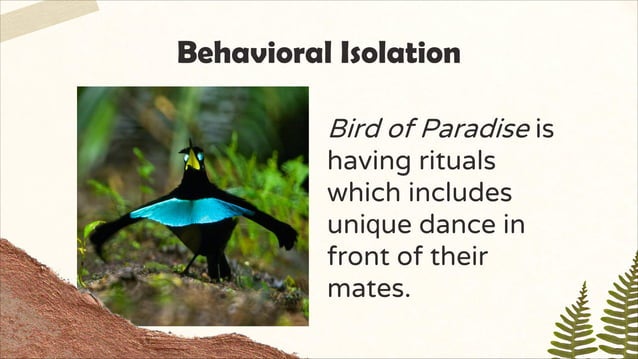 Patterns of Descent with Modification.pdf