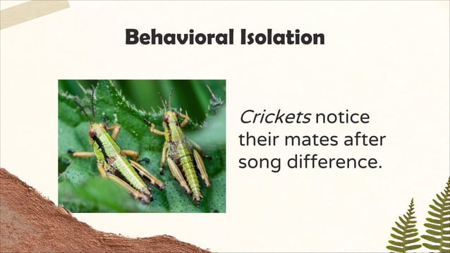 Patterns of Descent with Modification.pdf