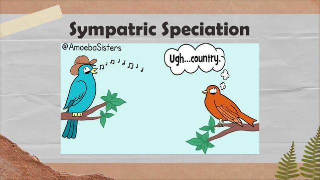 Patterns of Descent with Modification.pdf