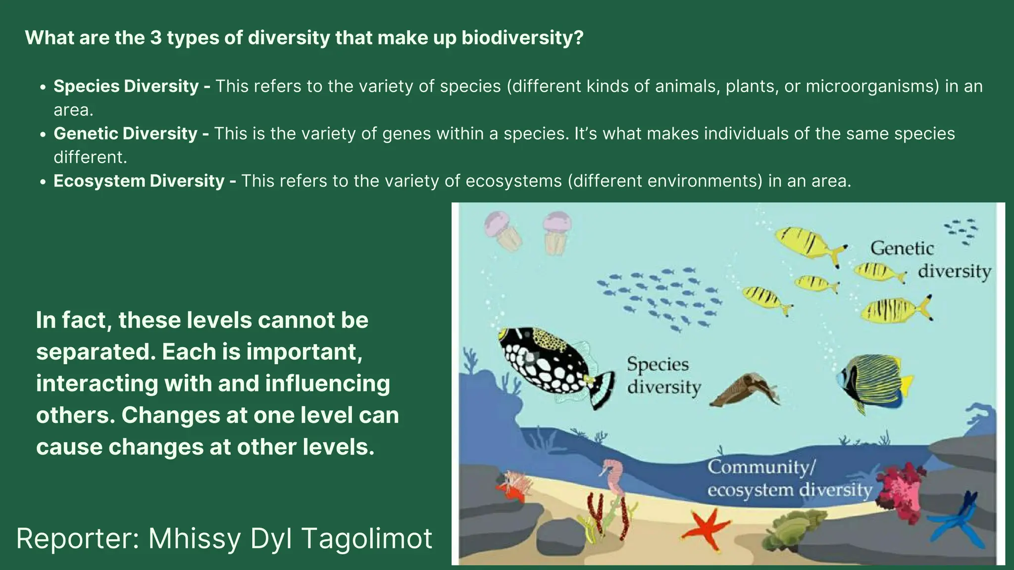 Patterns of Diversity rtewrewrerererewrwerwerwerwerwe | PDF