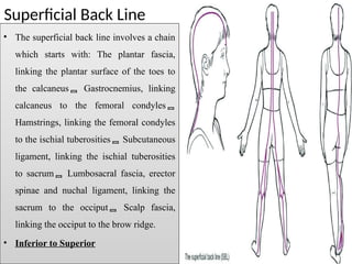 Patterns of dysfunctions | PPT