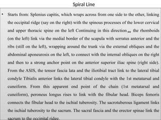 Patterns of dysfunctions | PPT