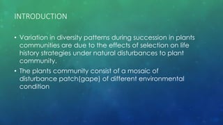 Patterns of environment variation in species | PDF