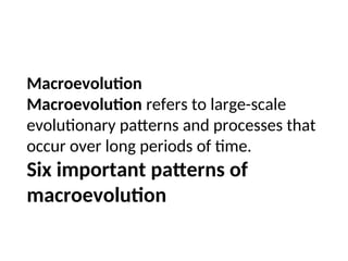Patterns of Evolution ; Patterns of Evolution ; Patterns of Evolution | PPT