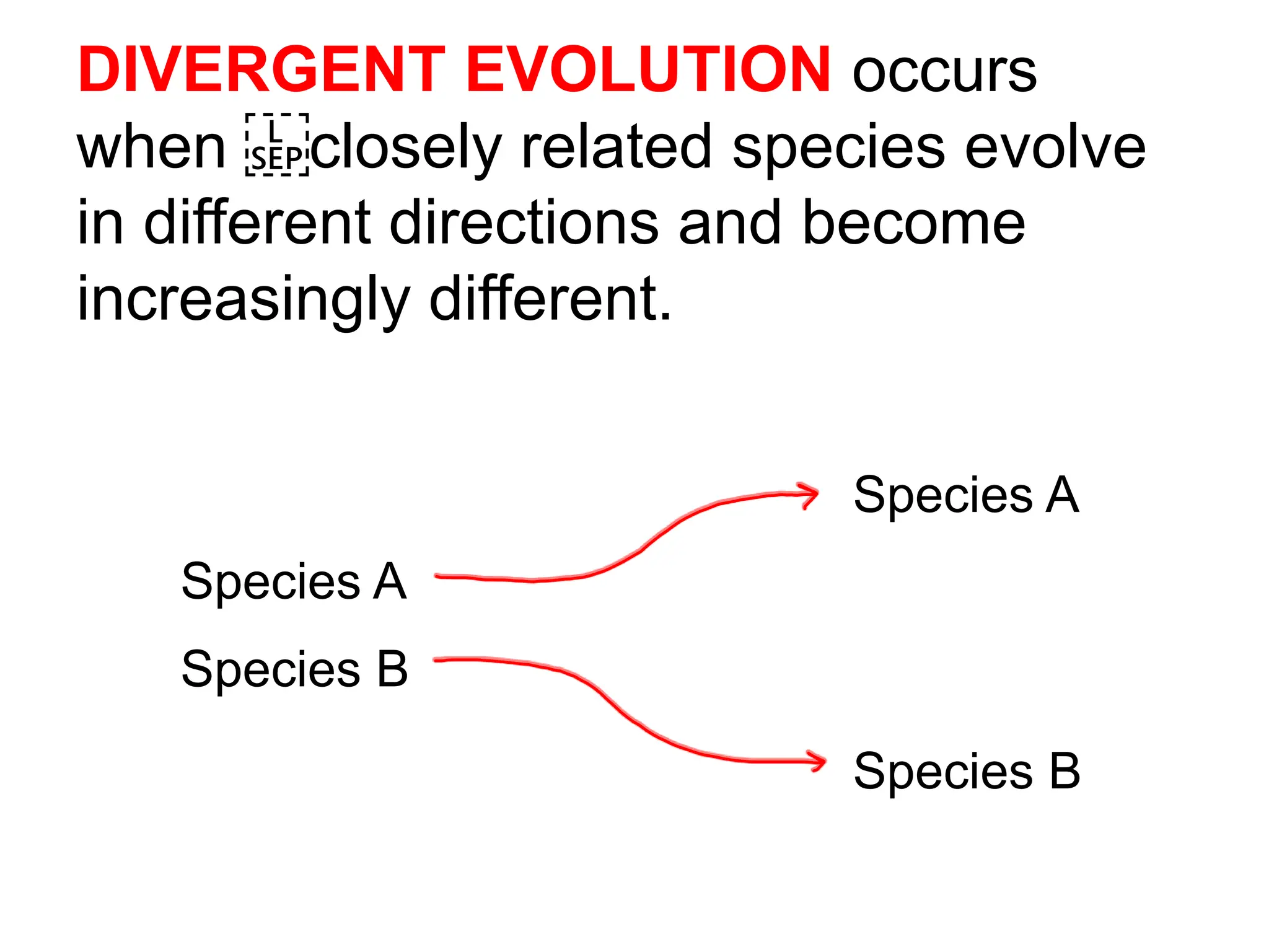 Patterns of Evolution Slides for Canvas Notes.pptx