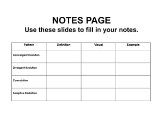 Patterns of Evolution Slides for Canvas Notes.pptx