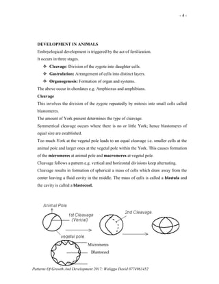 Patterns of growth and development pdf | PDF