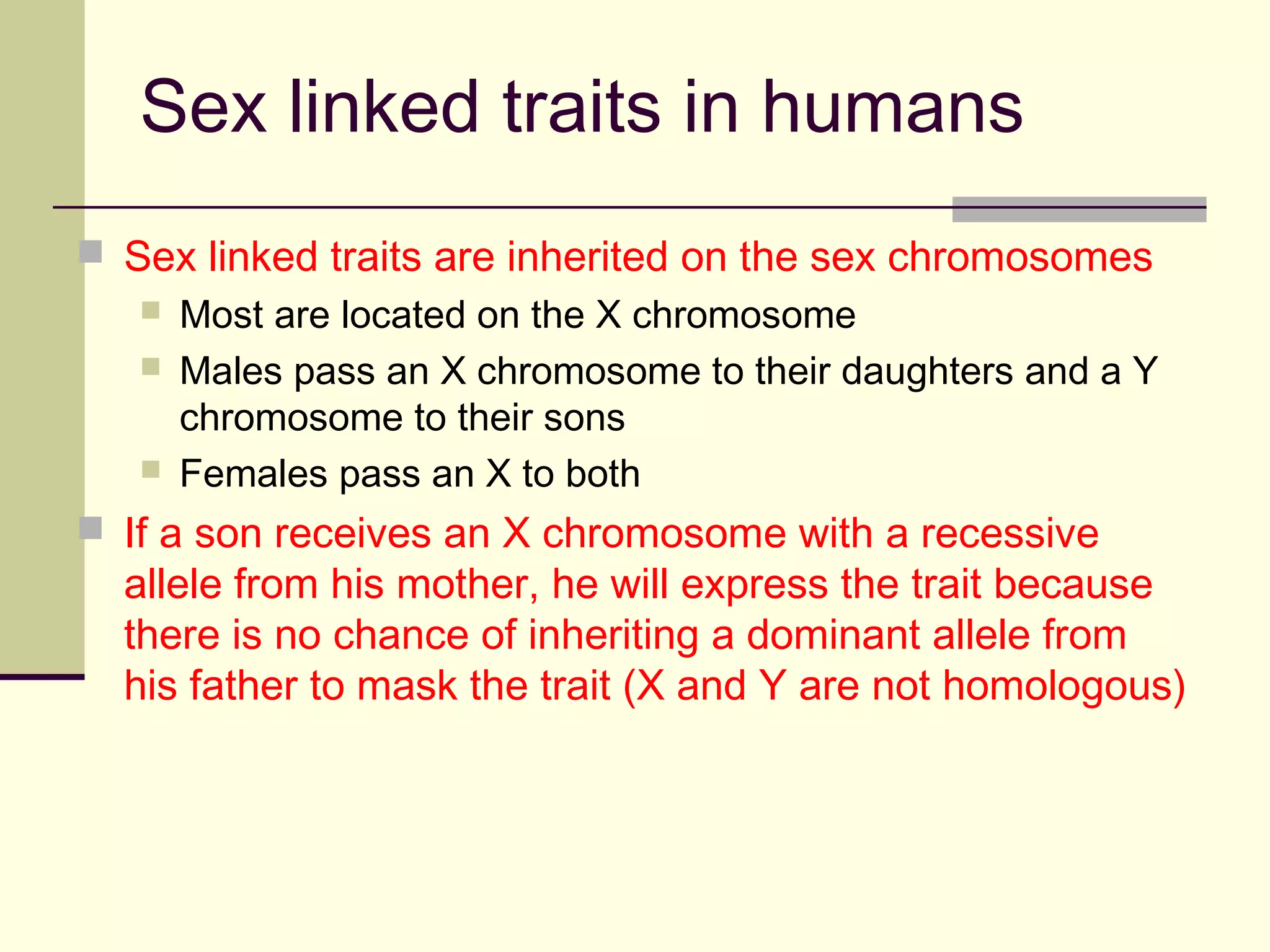 Patterns of heredity and human genetics | PPT