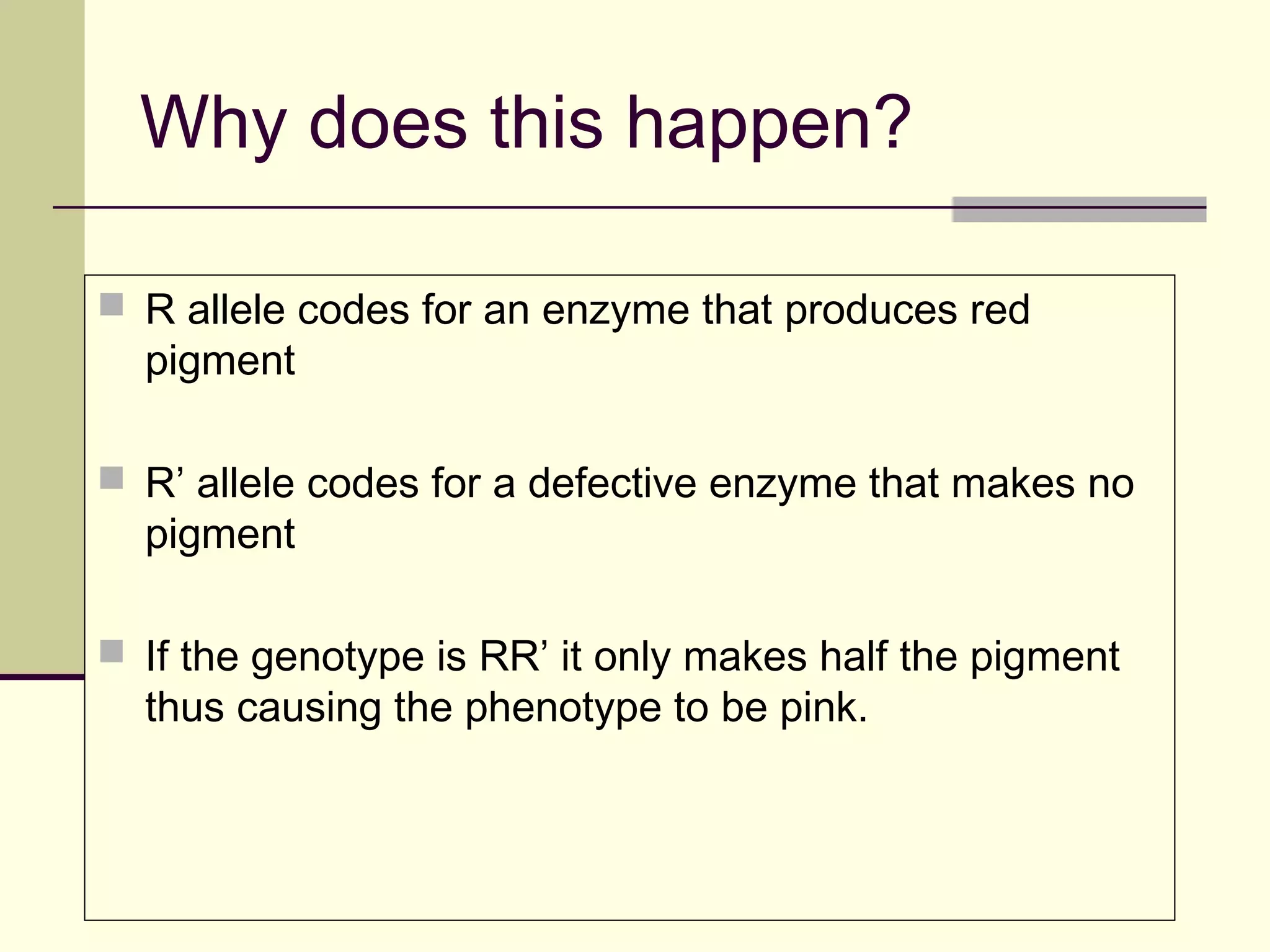 Patterns of heredity and human genetics | PPT