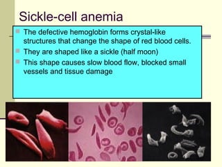 Patterns of heredity and human genetics | PPT