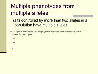 Patterns of heredity and human genetics | PPT