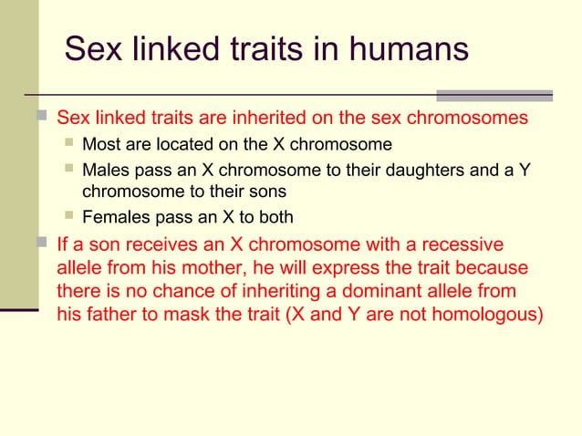 Patterns of heredity and human genetics | PPT