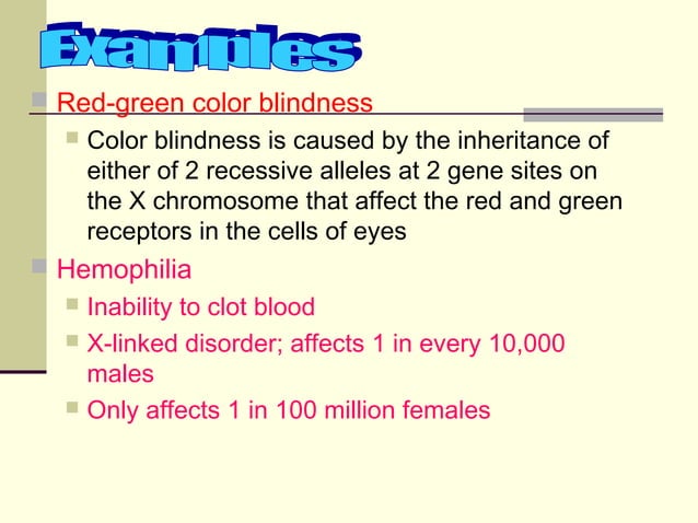 Patterns of heredity and human genetics | PPT