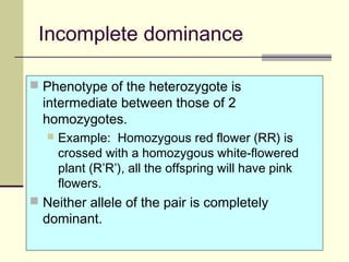 Patterns of heredity and human genetics | PPT