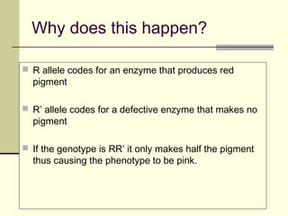 Patterns of heredity and human genetics | PPT