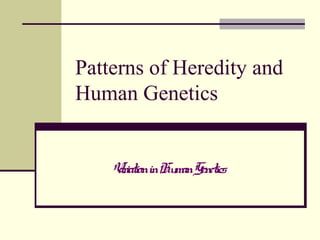 Patterns of heredity and human genetics | PPT