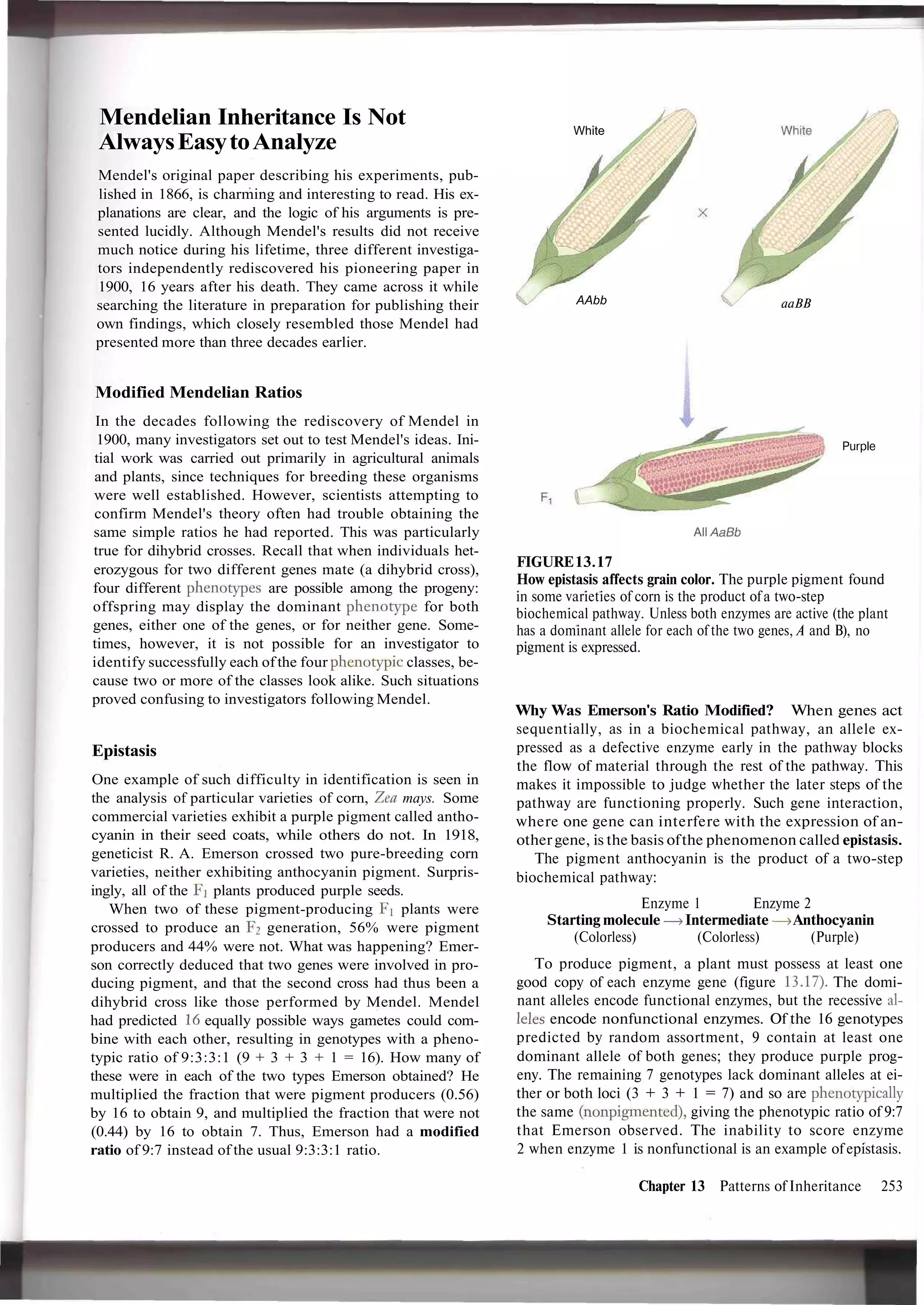 Patterns of inheritance | PDF | Genetics | Science