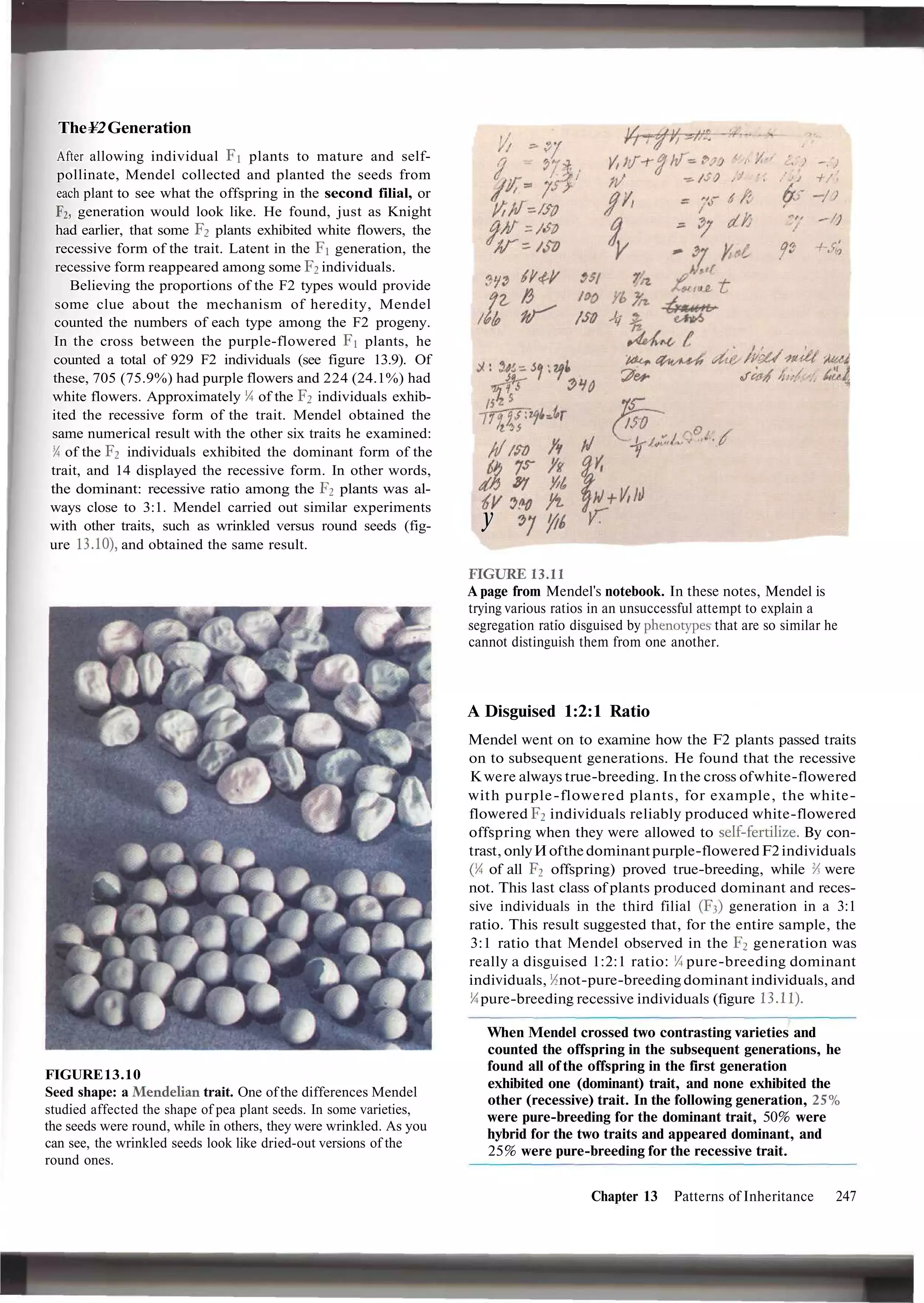Patterns of inheritance | PDF | Genetics | Science