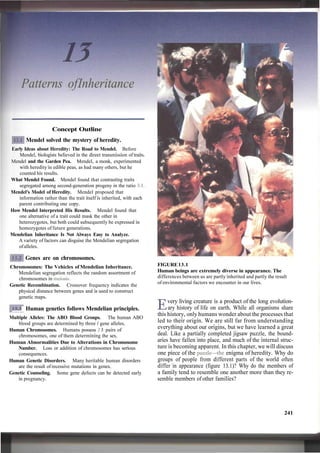 Patterns of inheritance | PDF | Genetics | Science