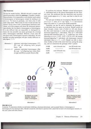 Patterns of inheritance | PDF | Genetics | Science
