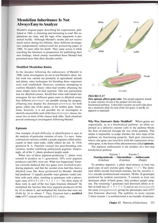 Patterns of inheritance | PDF | Genetics | Science