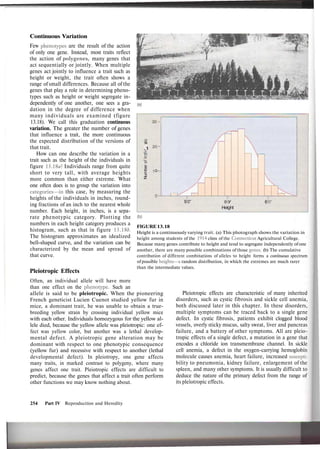 Patterns of inheritance | PDF | Genetics | Science