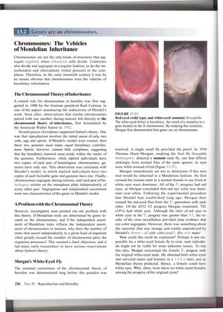 Patterns of inheritance | PDF | Genetics | Science