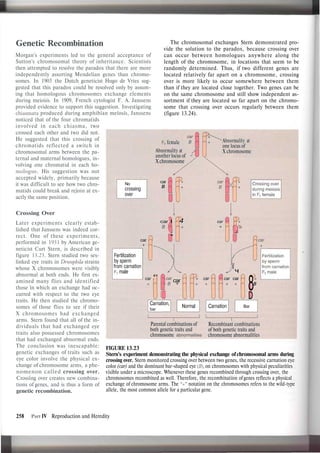 Patterns of inheritance | PDF | Genetics | Science