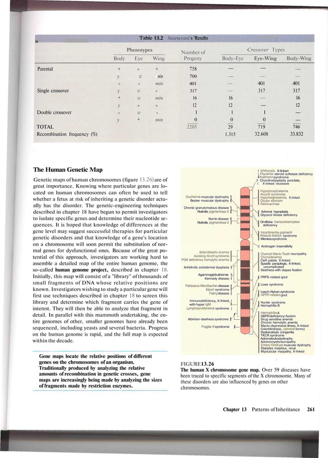 Patterns of inheritance | PDF | Genetics | Science