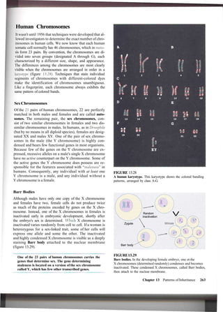Patterns of inheritance | PDF | Genetics | Science