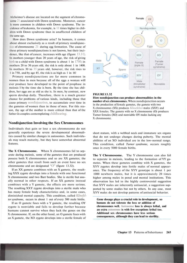 Patterns of inheritance | PDF | Genetics | Science