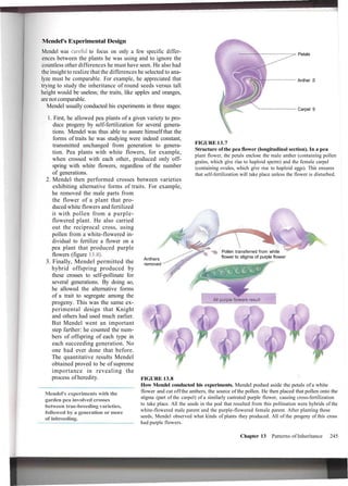 Patterns of inheritance | PDF | Genetics | Science