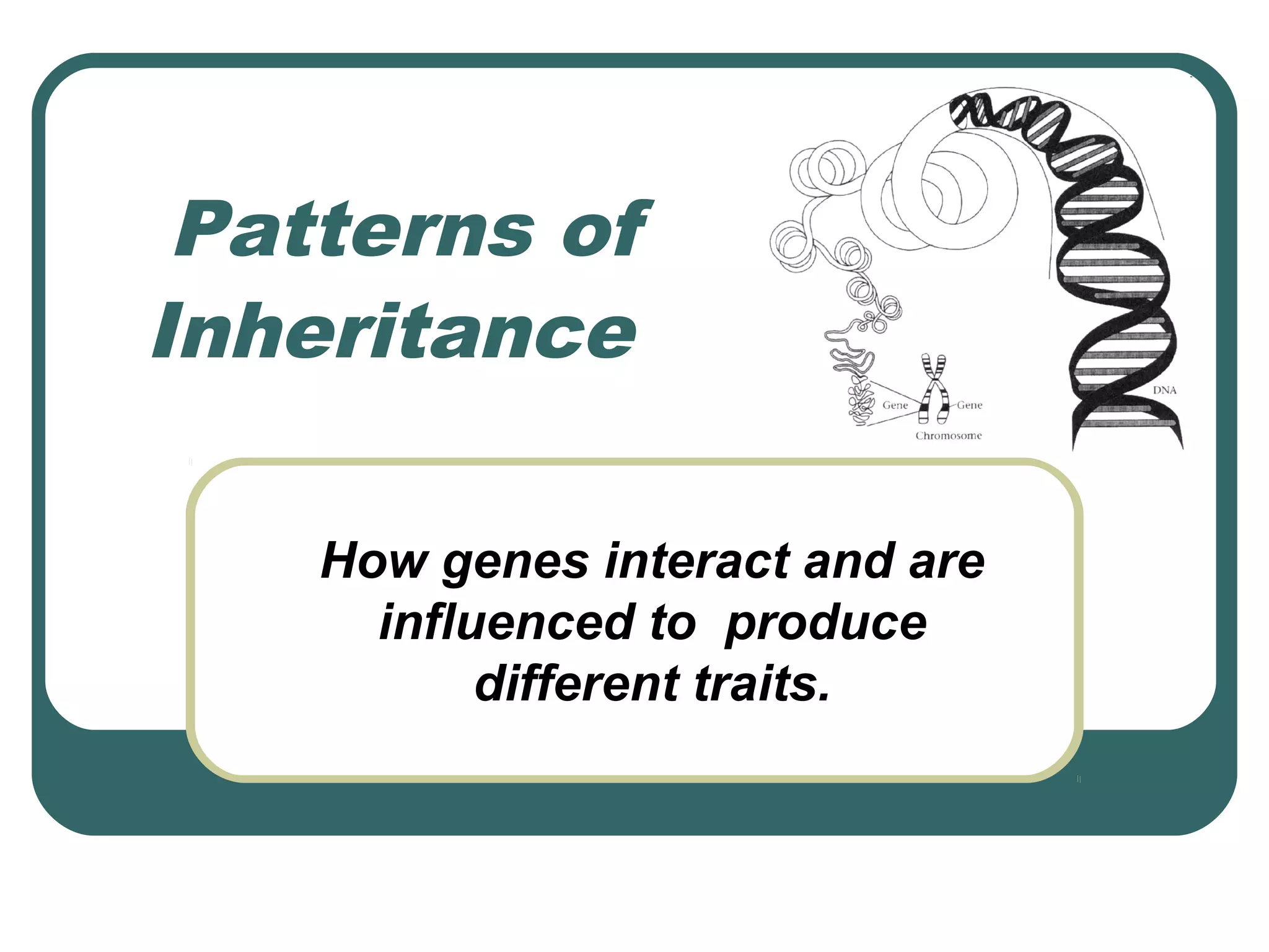 Patterns of Inheritance | PPT | Genetics | Science