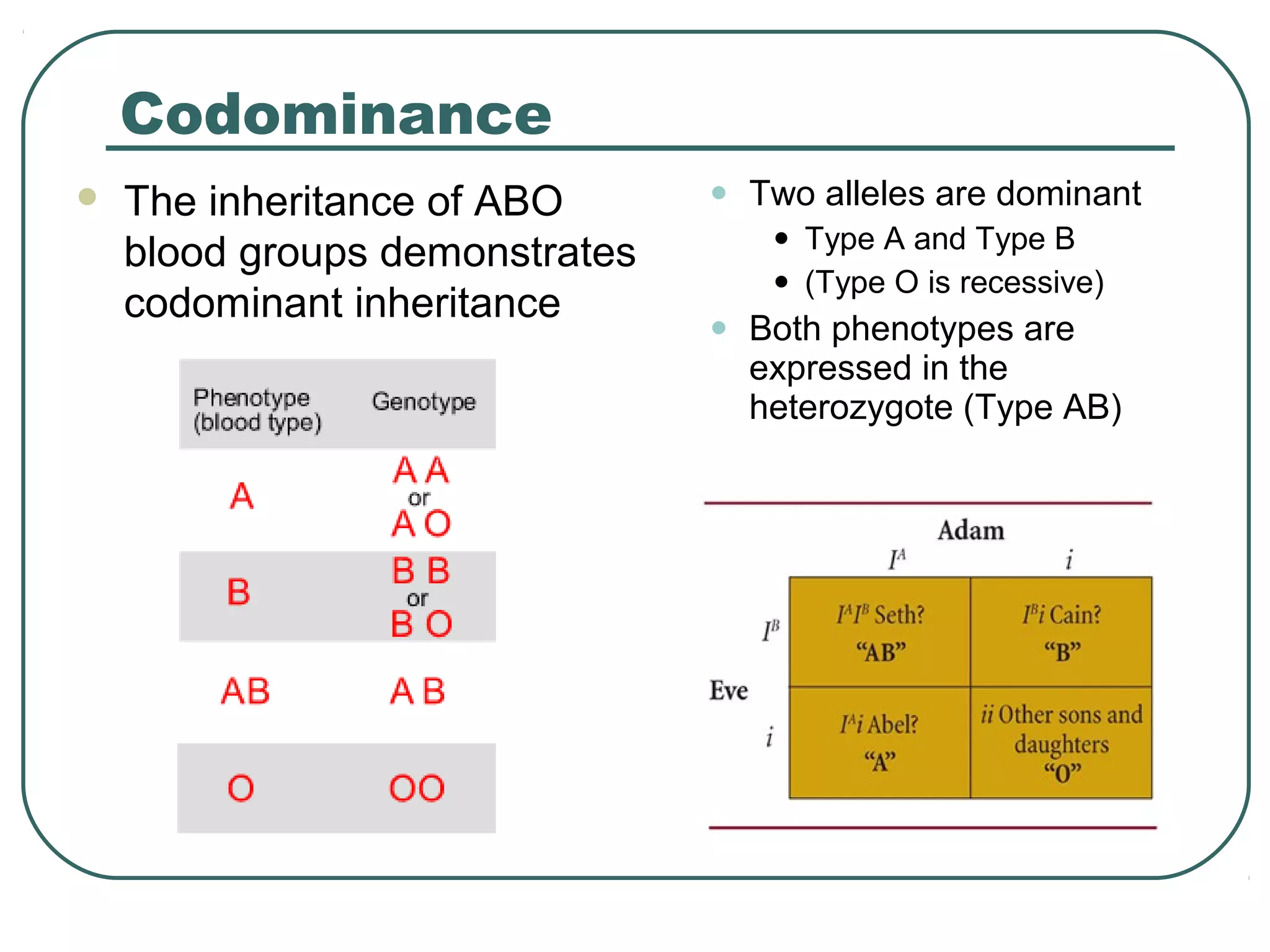 Patterns of Inheritance | PPT