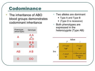 Patterns of Inheritance | PPT