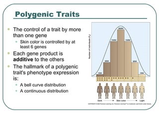 Patterns of Inheritance | PPT
