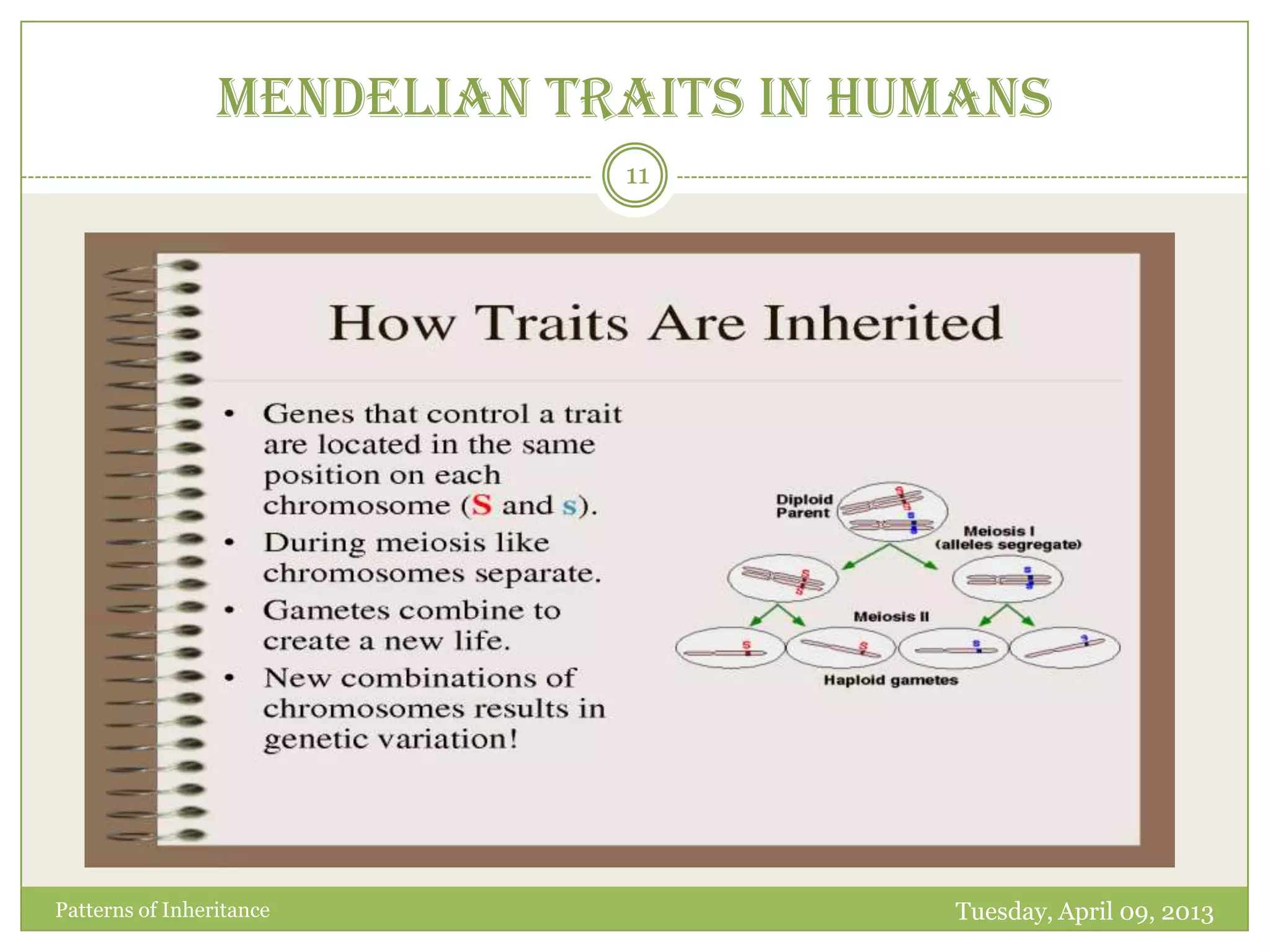 Patterns of inheritance | PPTX
