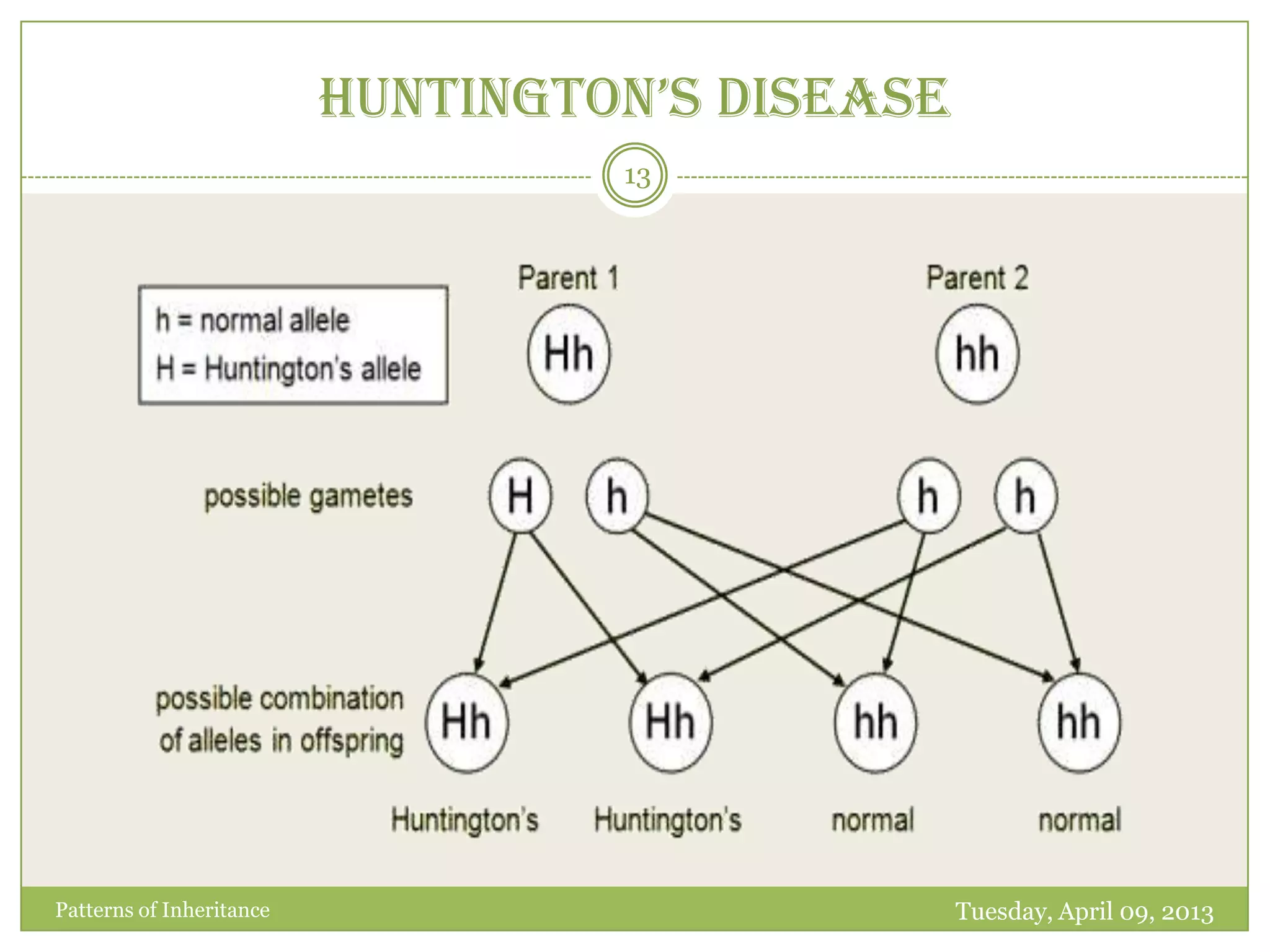Patterns of inheritance | PPT