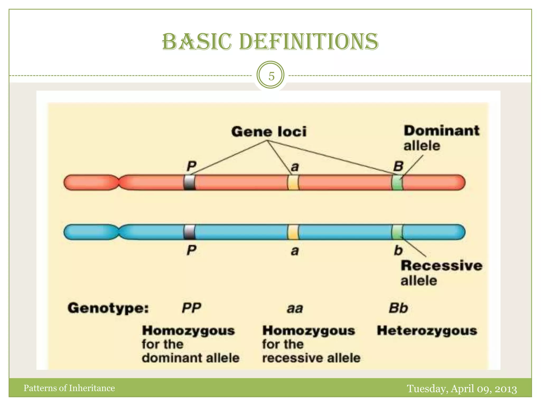 Patterns of inheritance | PPTX