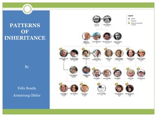 Patterns of inheritance | PPTX