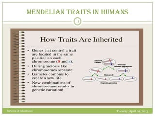 Patterns of inheritance | PPTX