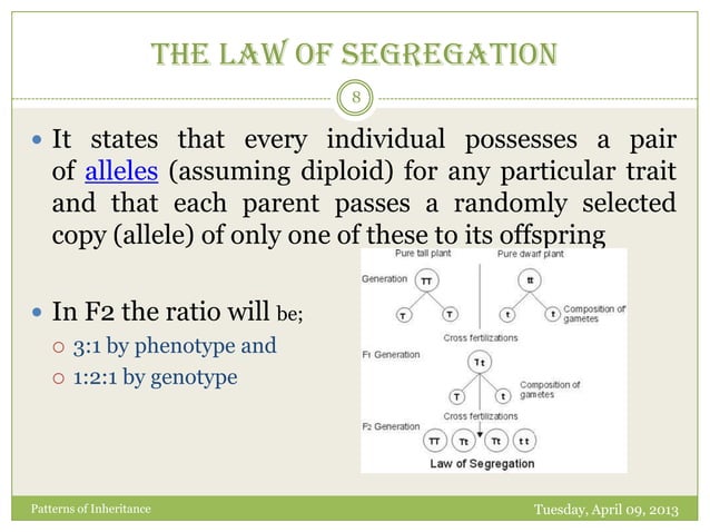 Patterns of inheritance | PPT