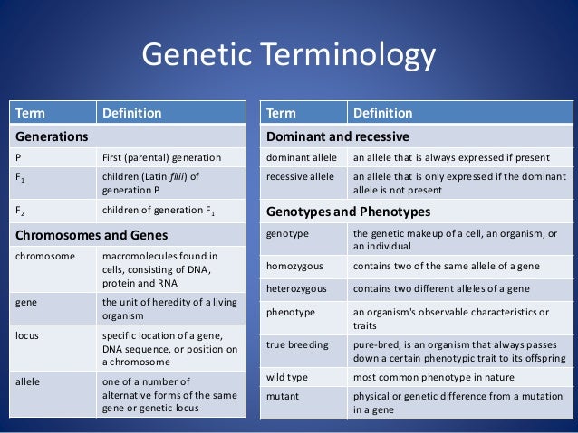 Patterns of inheritance