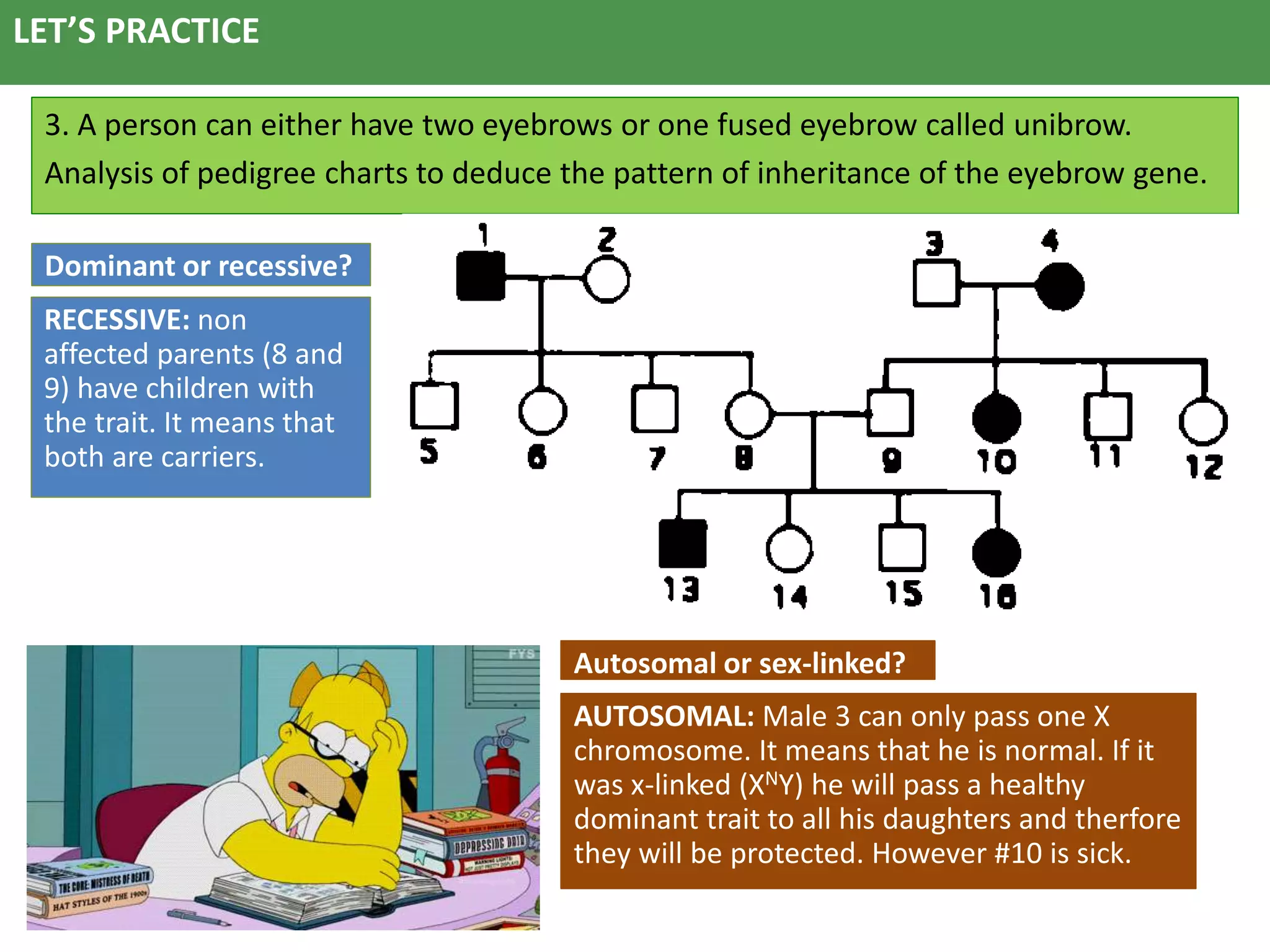Patterns of inheritance | PPTX
